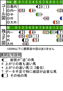 [レース予想ペース： H ]