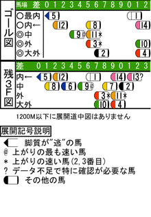 [レース予想ペース： S ]